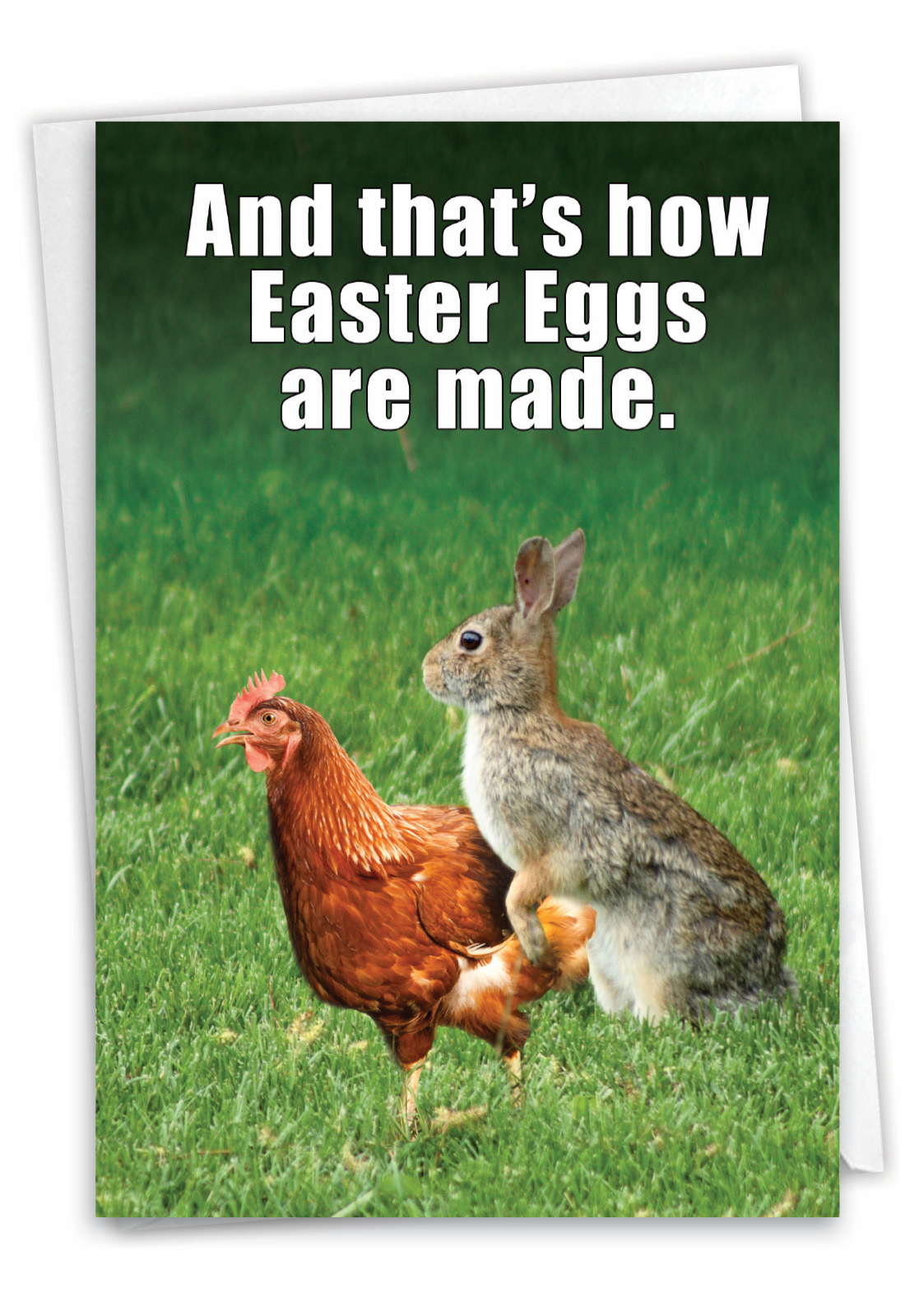 How Easter Eggs Are Made Humorous Greeting Card