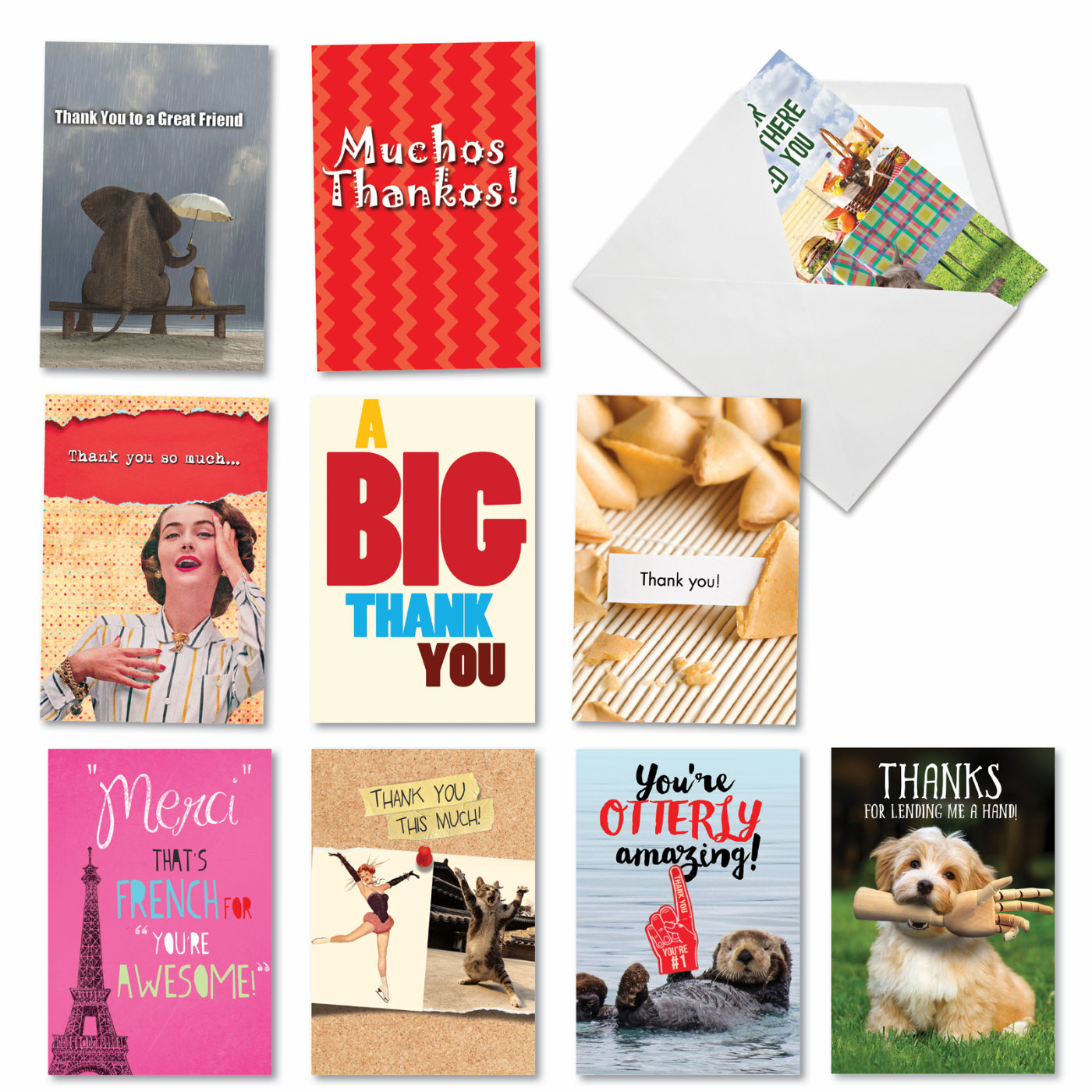 Many Thanks: Humorous Thank You Assortment of 10 Cards