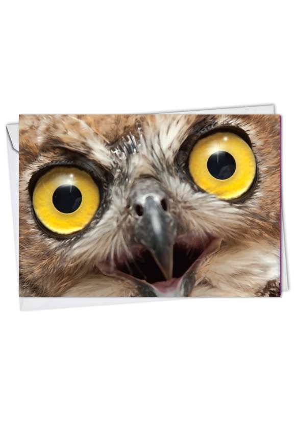 What A Hoot Nobleworks By Design Not Greeted Greeting Card What A Hoot Nobleworks By Design Not Greeted Greeting Card