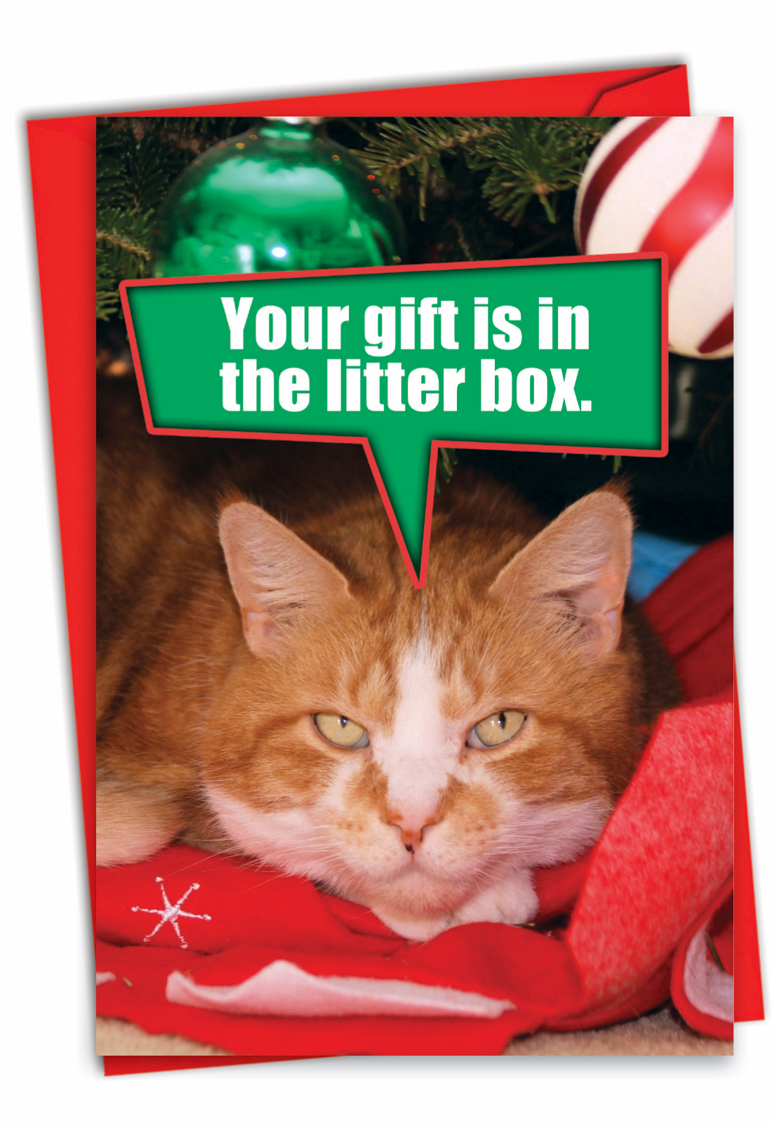 Litter Box Gift Petigreet Christmas Greeting Card