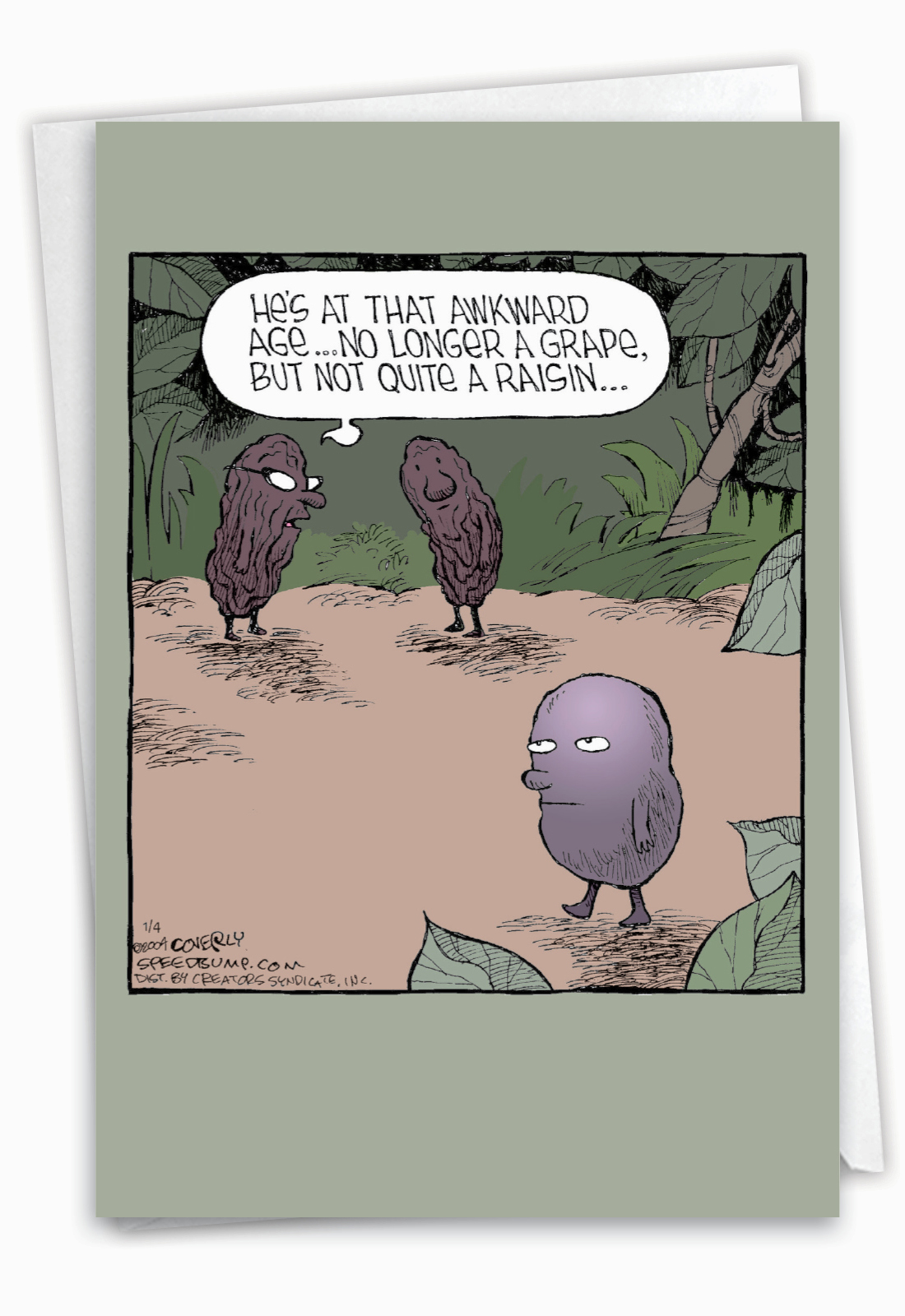 Almost A Raisin Cartoons Birthday Paper Card Dave Coverly