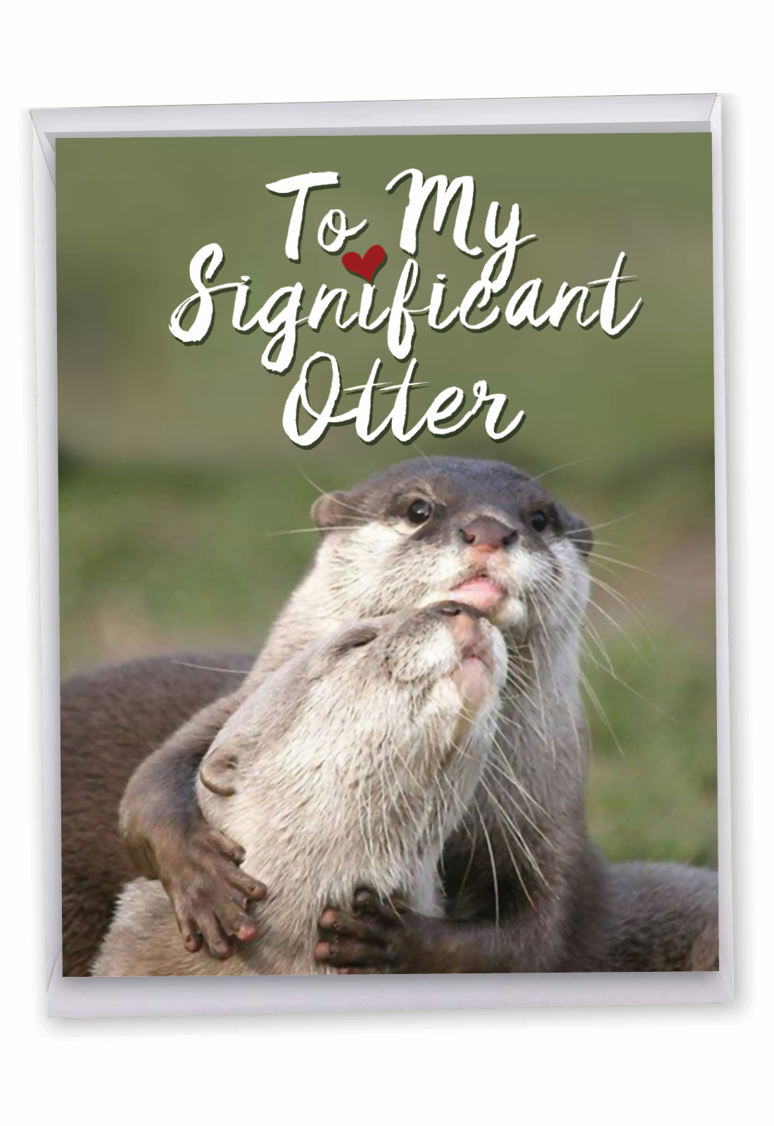 Big Significant Otters Petigreet Valentine's Day Card By