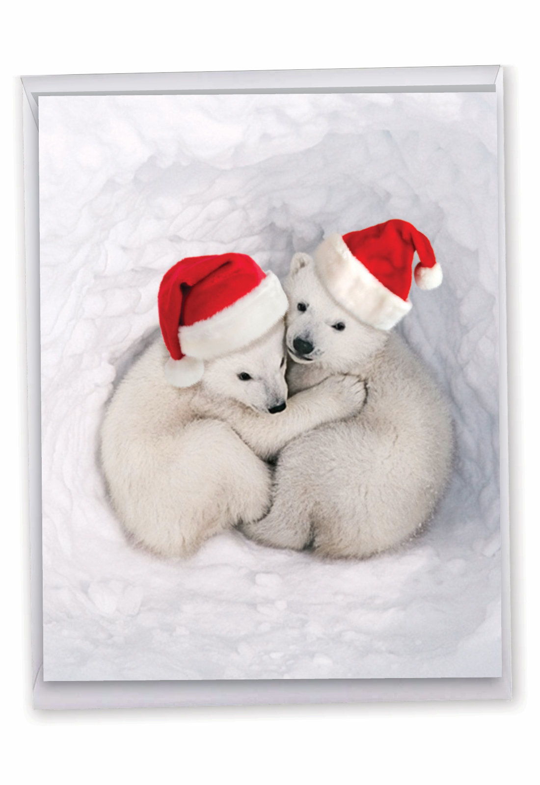 Bear Hugs: Creative Merry Christmas Jumbo Printed Greeting Card