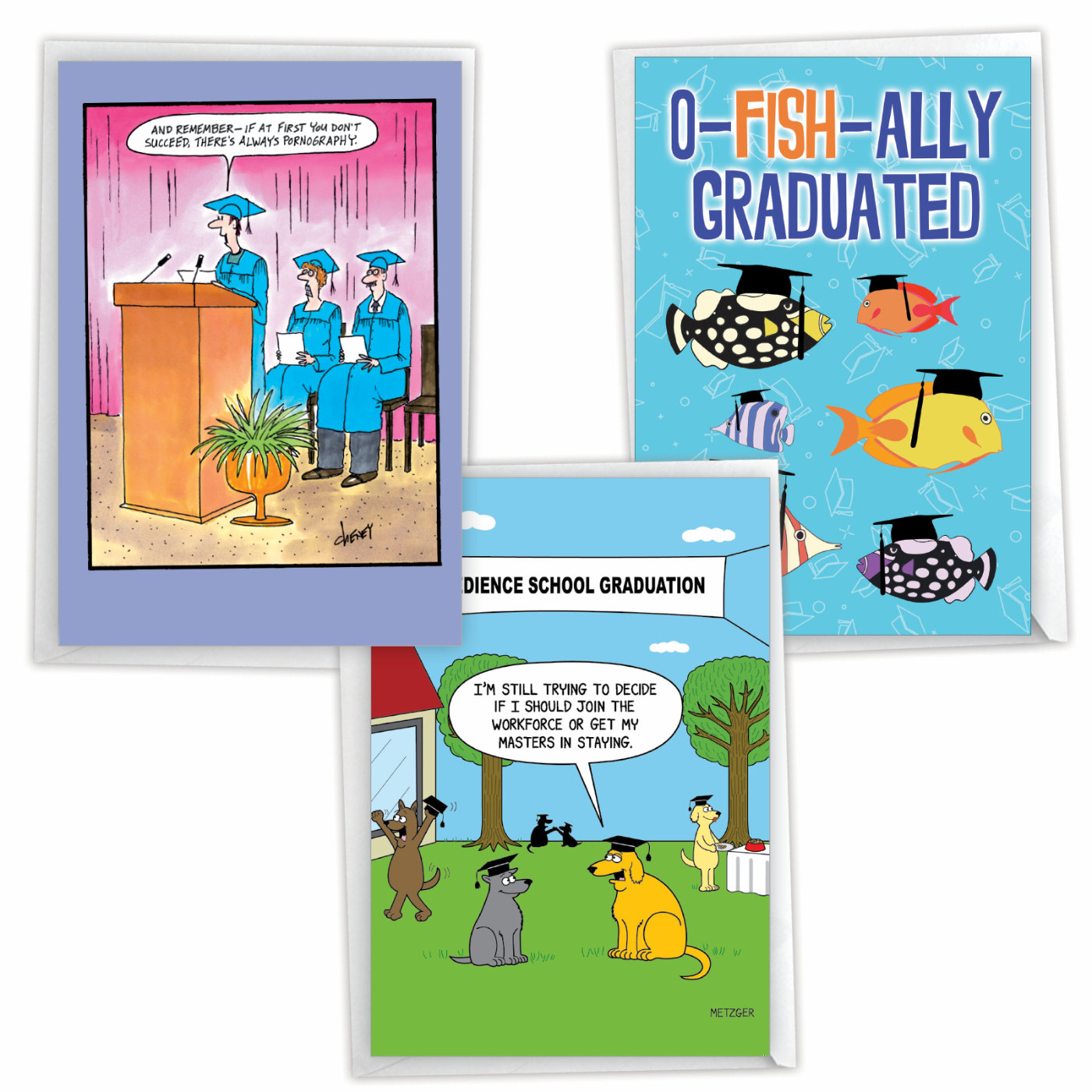 Scholastic Sensations: Funny Graduation Variety Pack of 3 Cards